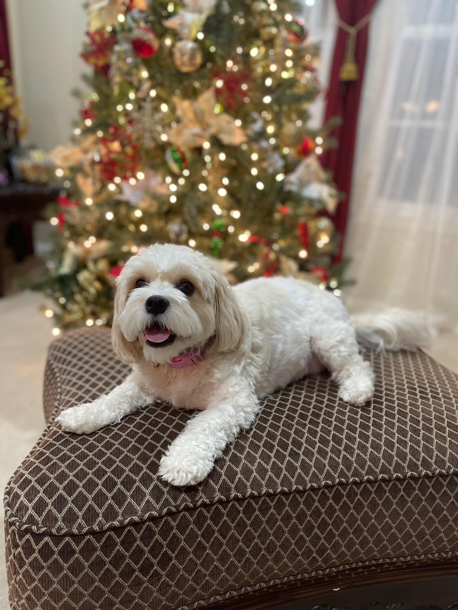 About | Universal Trailers | Riverside, California